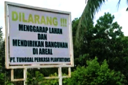 RIAUPAGI.com | Polemik Kelebihan Lahan HGU di PT TPP Sudah Puluhan Tahun, INPEST: 'Jika Denda ...